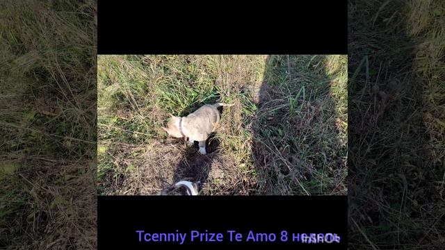 29.08.26 Рюрик &amp; Эми