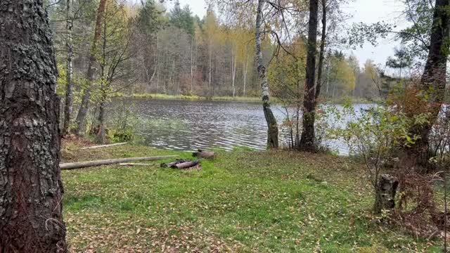 Прогулки на ПРИРОДЕ