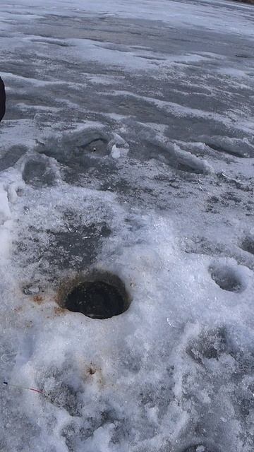 РЫБАЛКА НА БЕЗМОТЫЛКУ