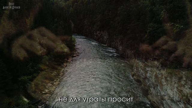 Алексей Дунаев