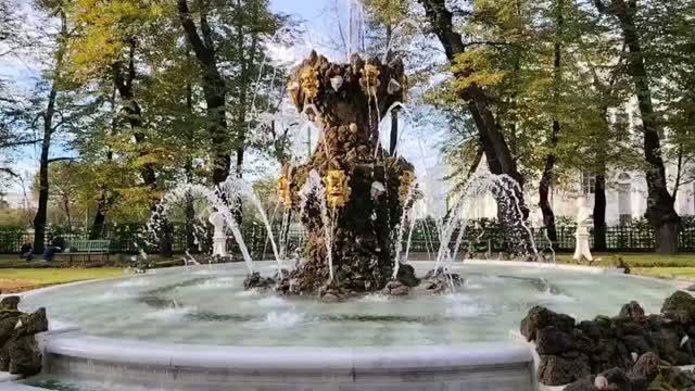 Немного истории