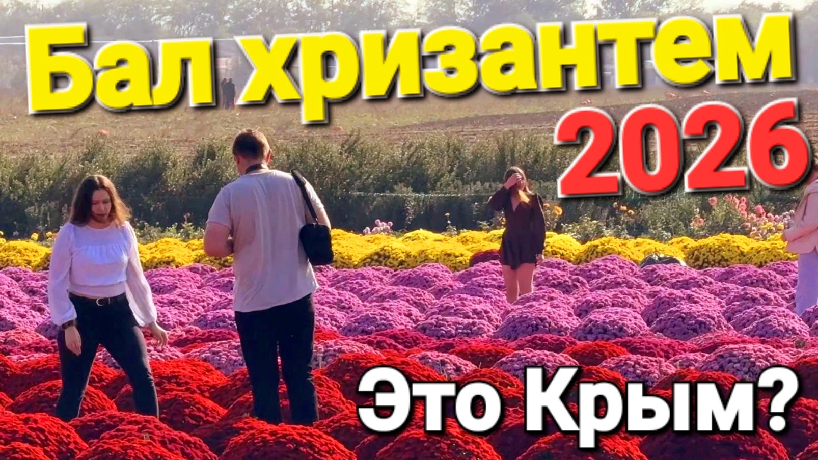 Полезные магазины и места на юге.