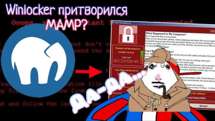 Баги и приколы