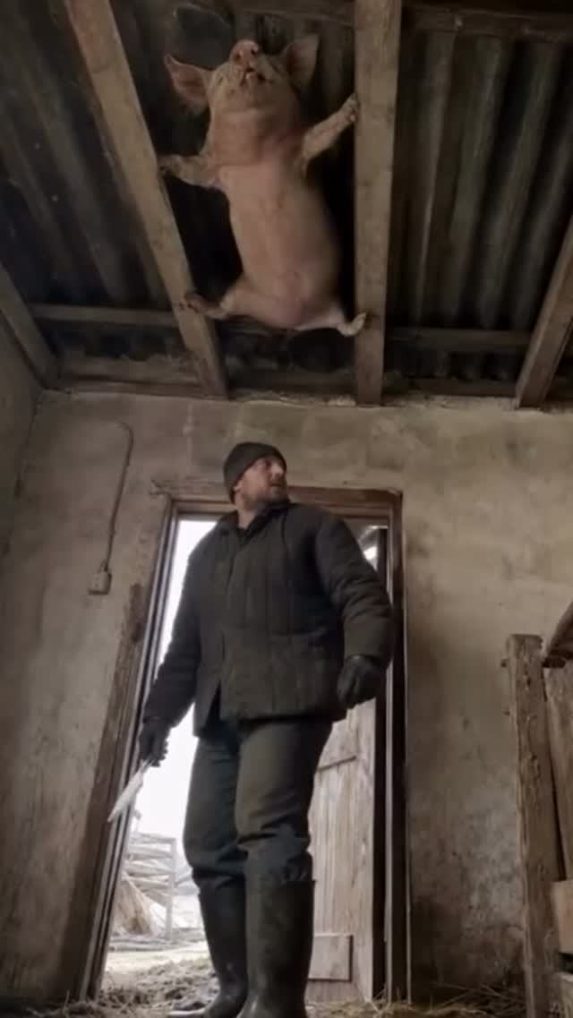 ии видео приколы