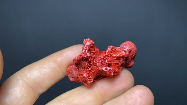 Кораллы