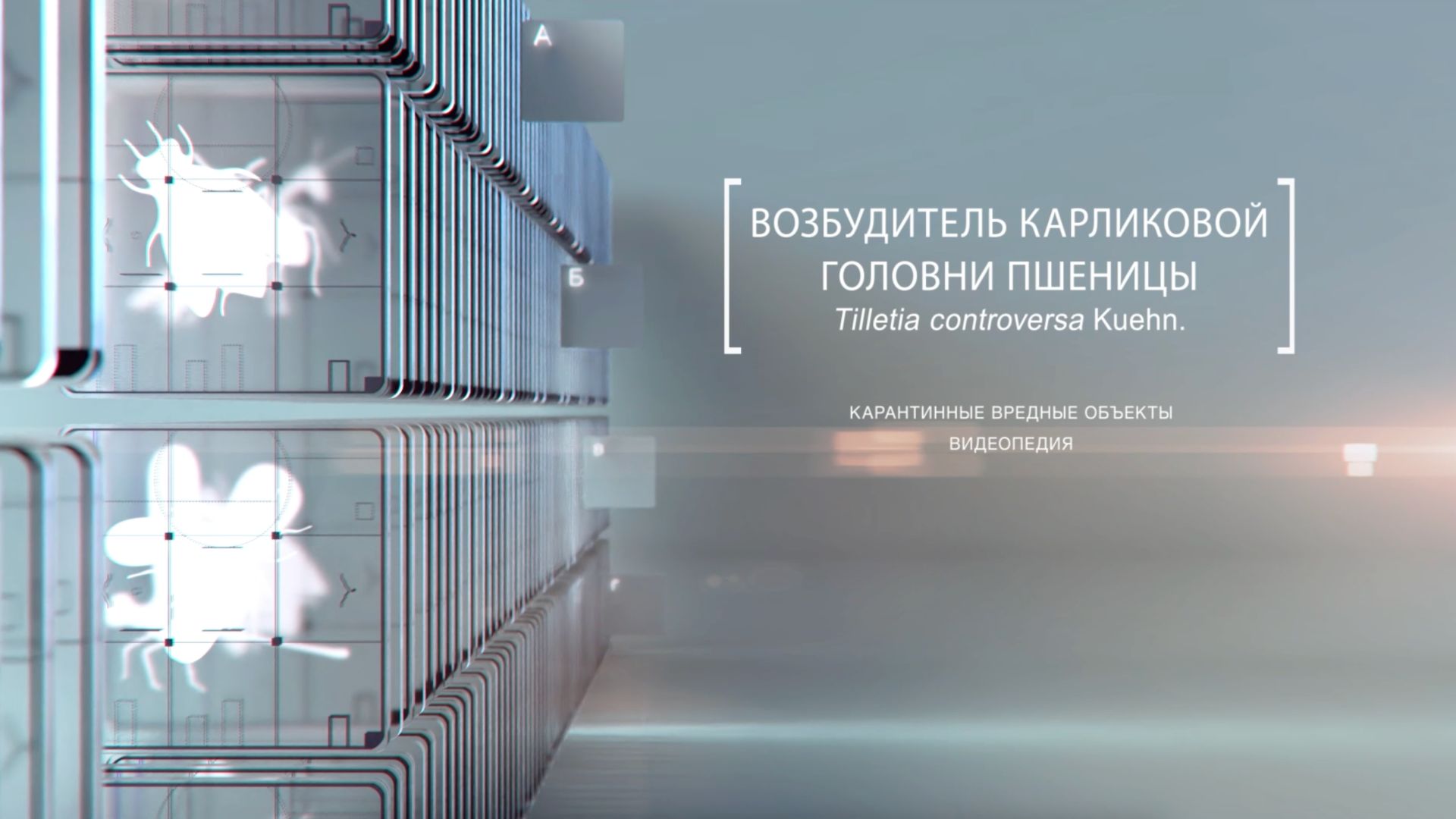 Видеопедия «Карантинные вредные объекты»
