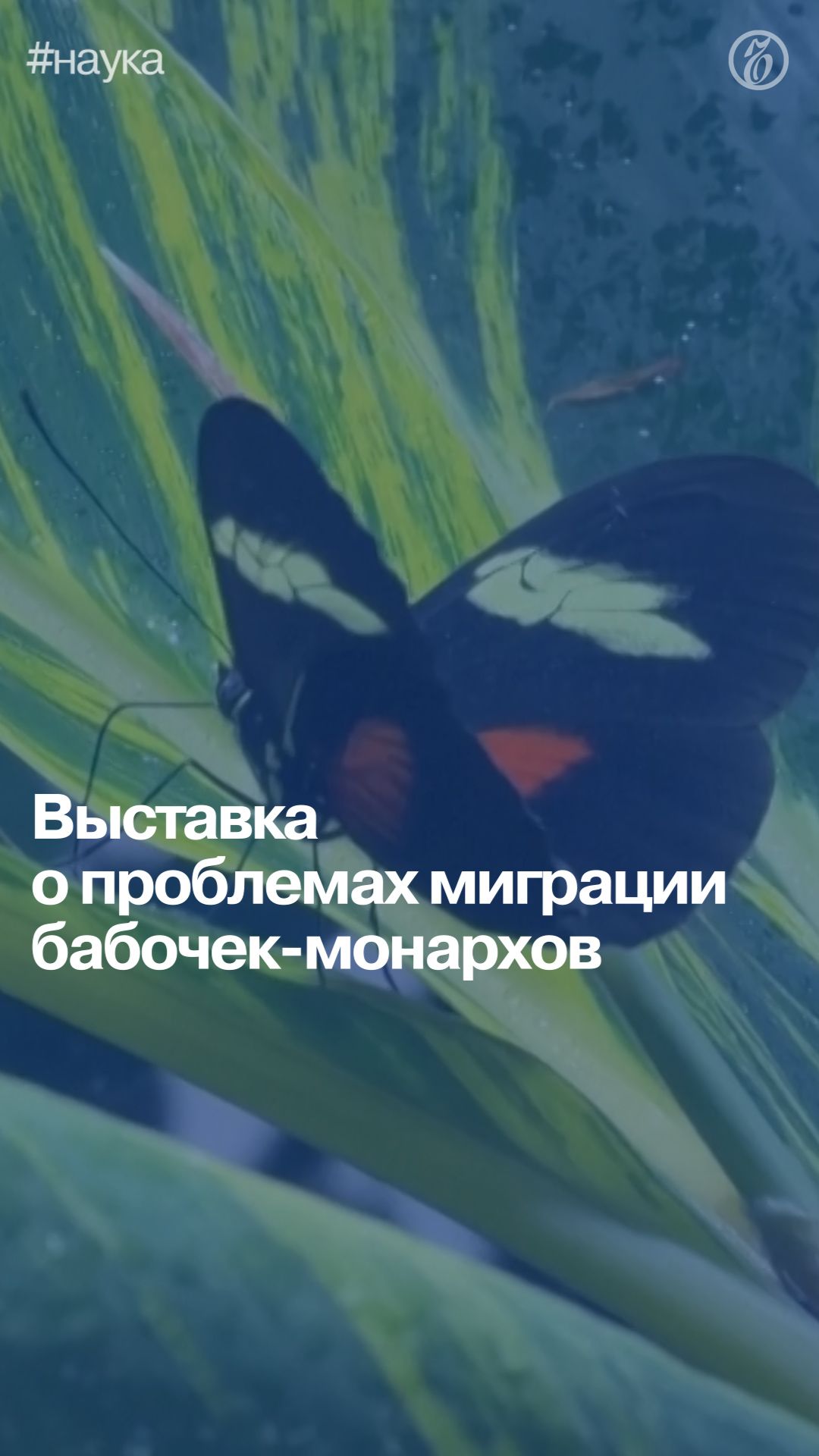 Наука