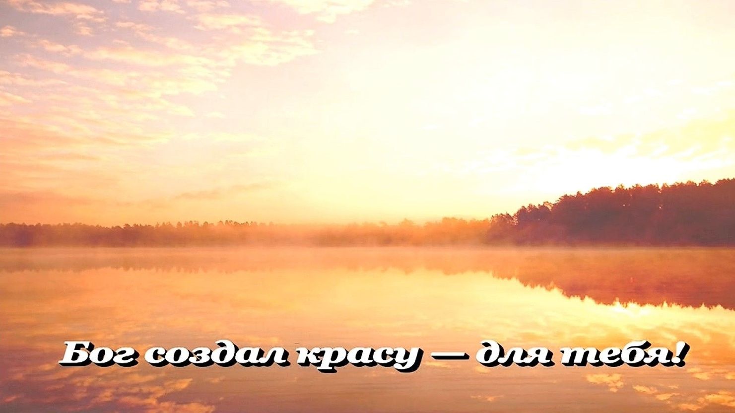 МУЗЫКАЛЬНЫЕ КЛИПЫ