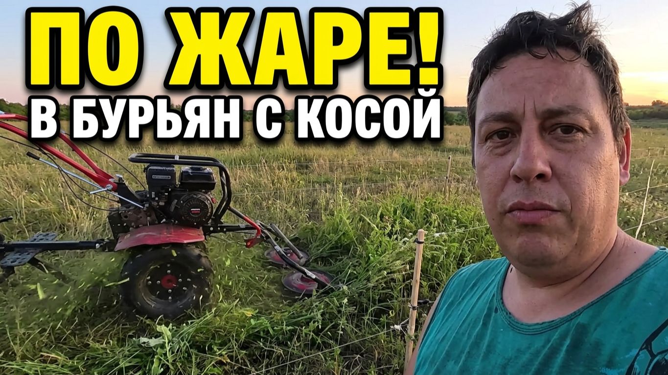 Деревенские будни