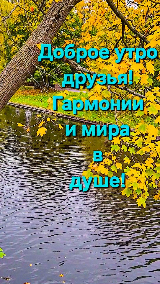 Музыка для души