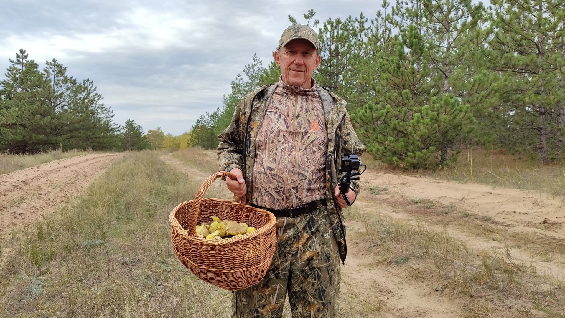 Грибы