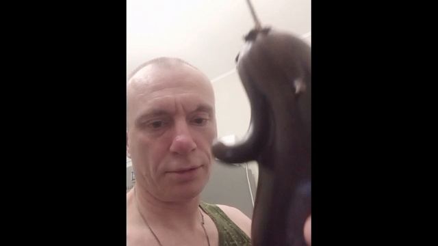 Приколы