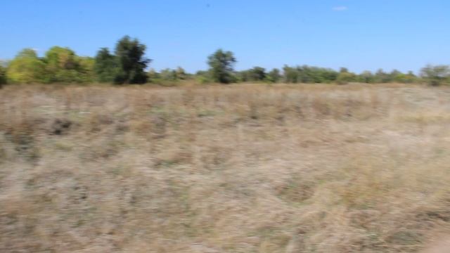 Волгоградская область)