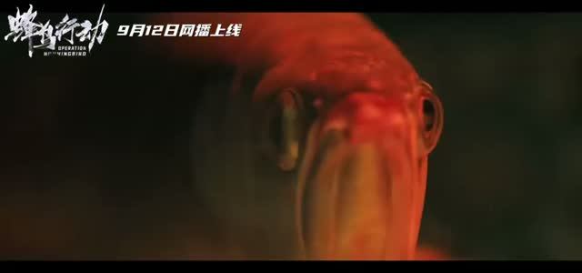 Kung Fu Cinema