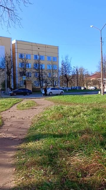Сланцы