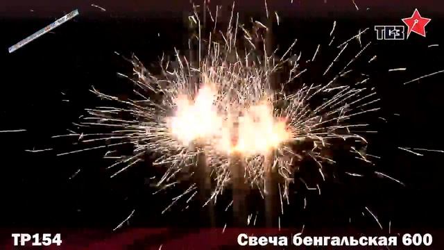 Троицкий снаряжательный завод