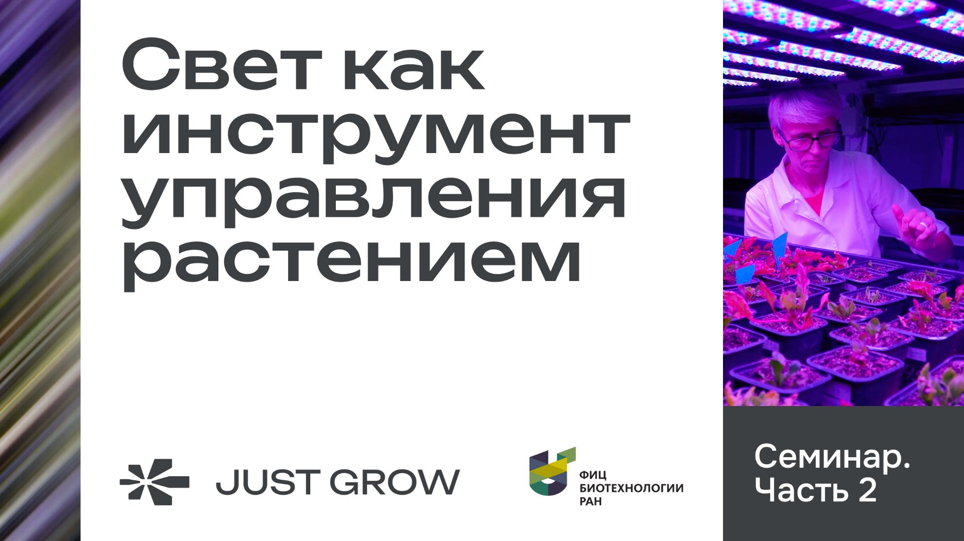 Лекции и семинары