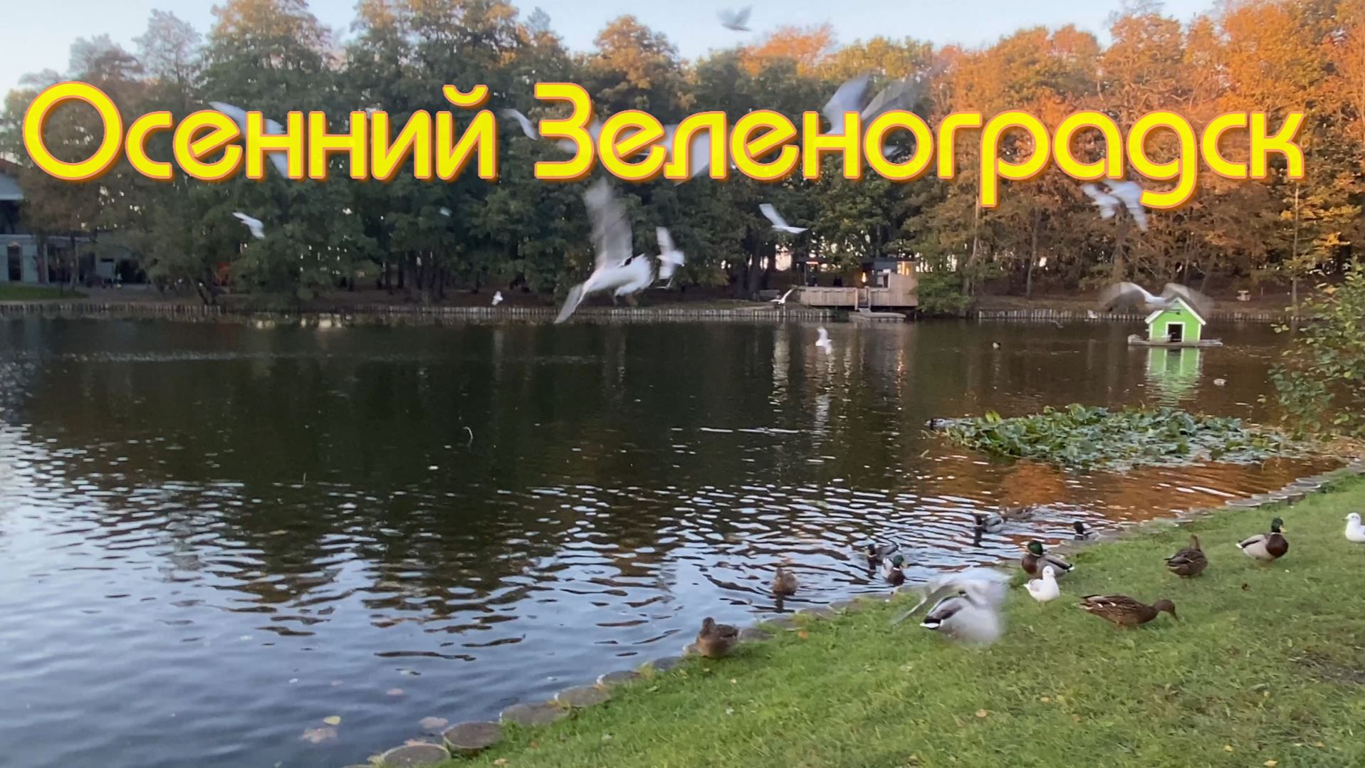 Калининградская область