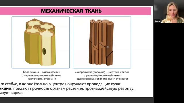 ОГЭ