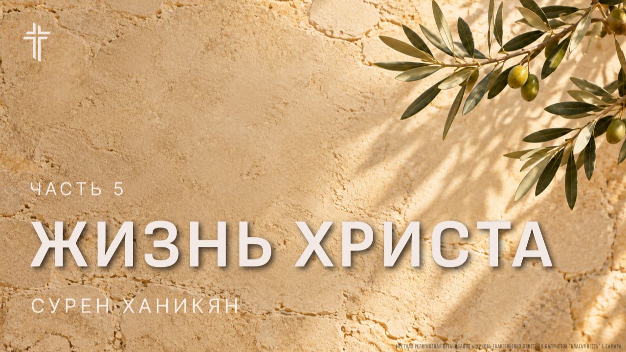 Воскресная школа. Жизнь Христа