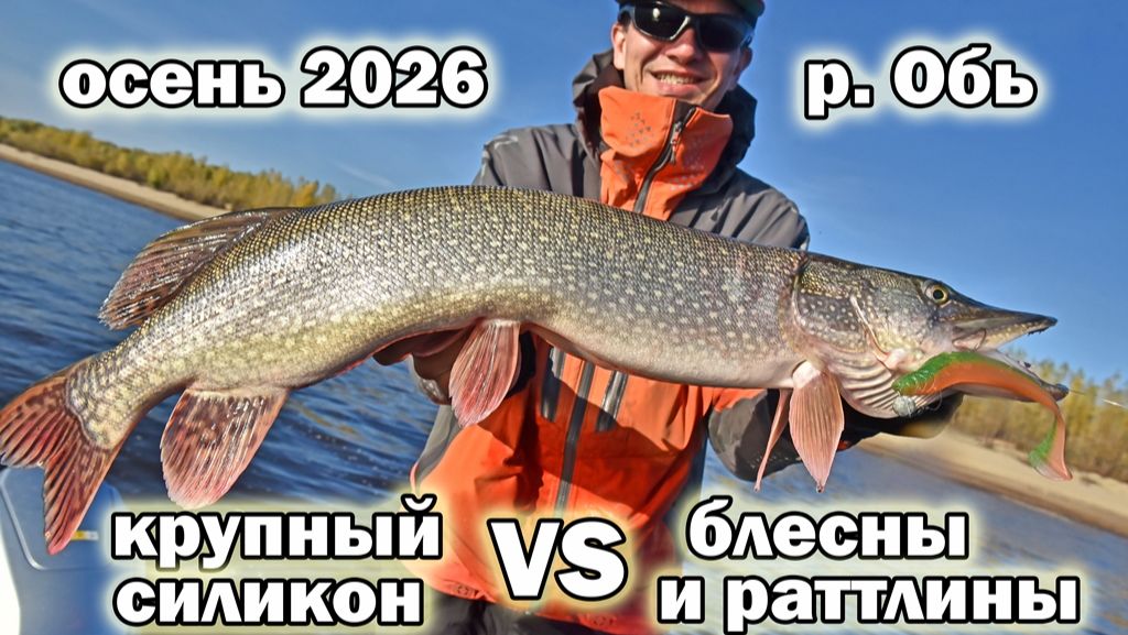 2026 год