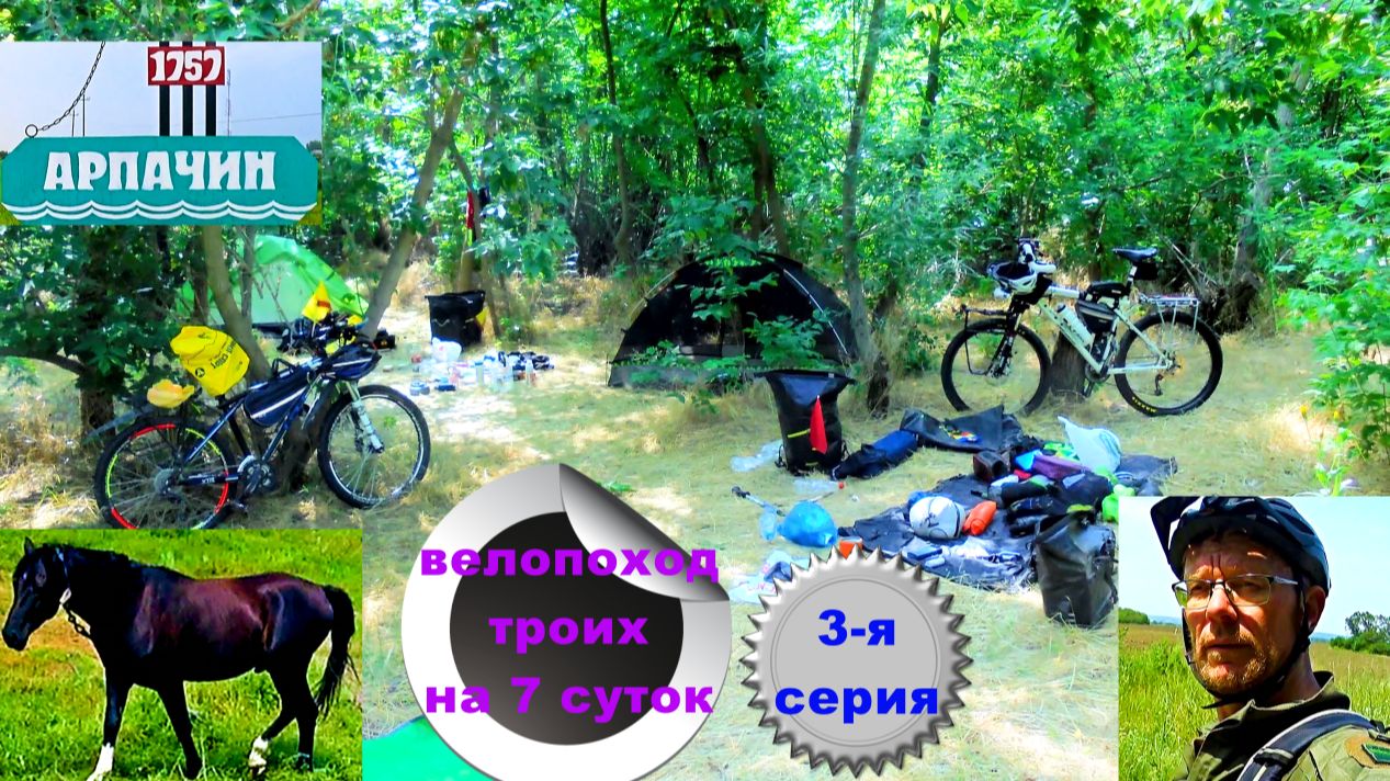 Мой 2026 вело-год.