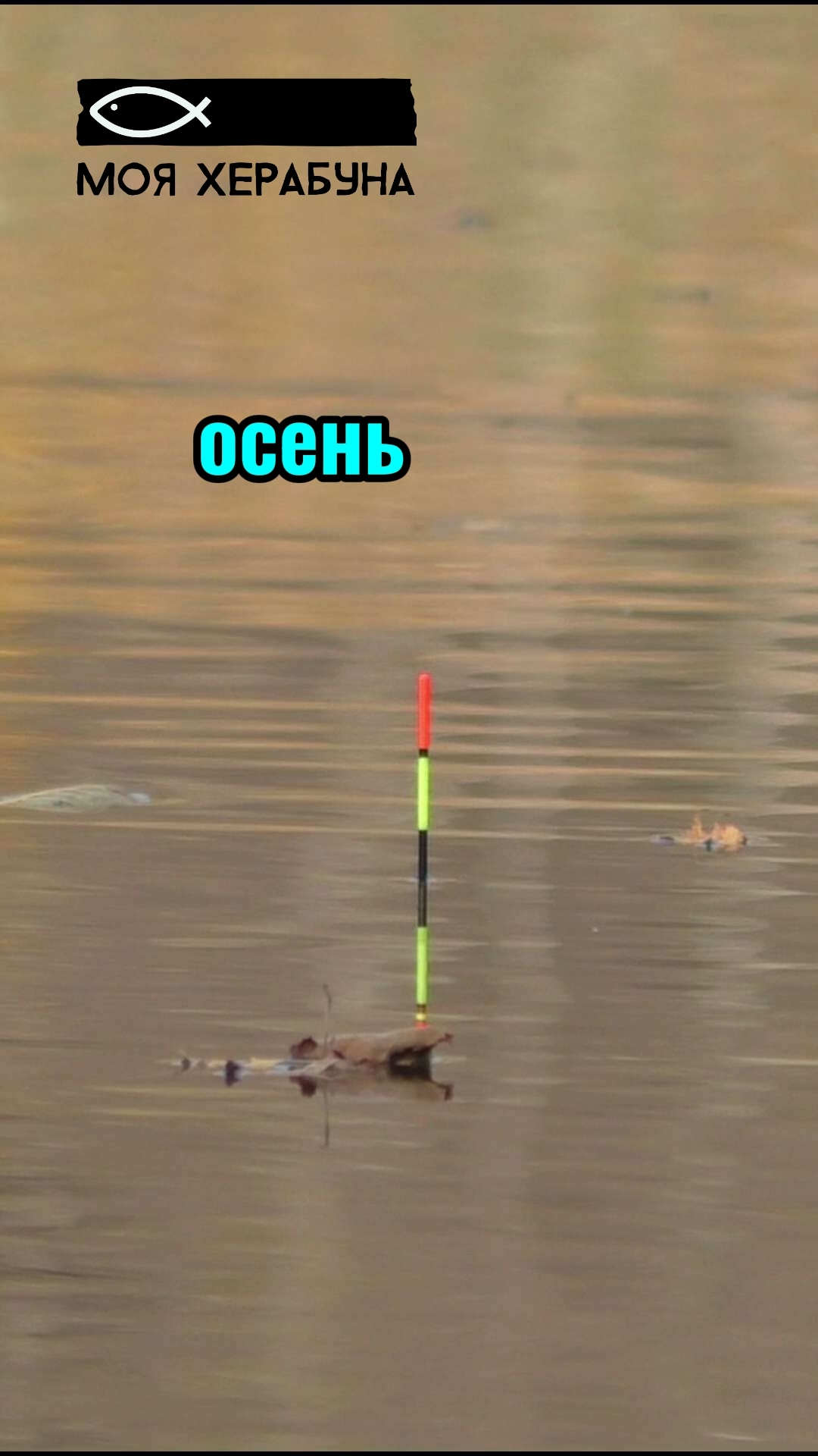 Целевая рыба