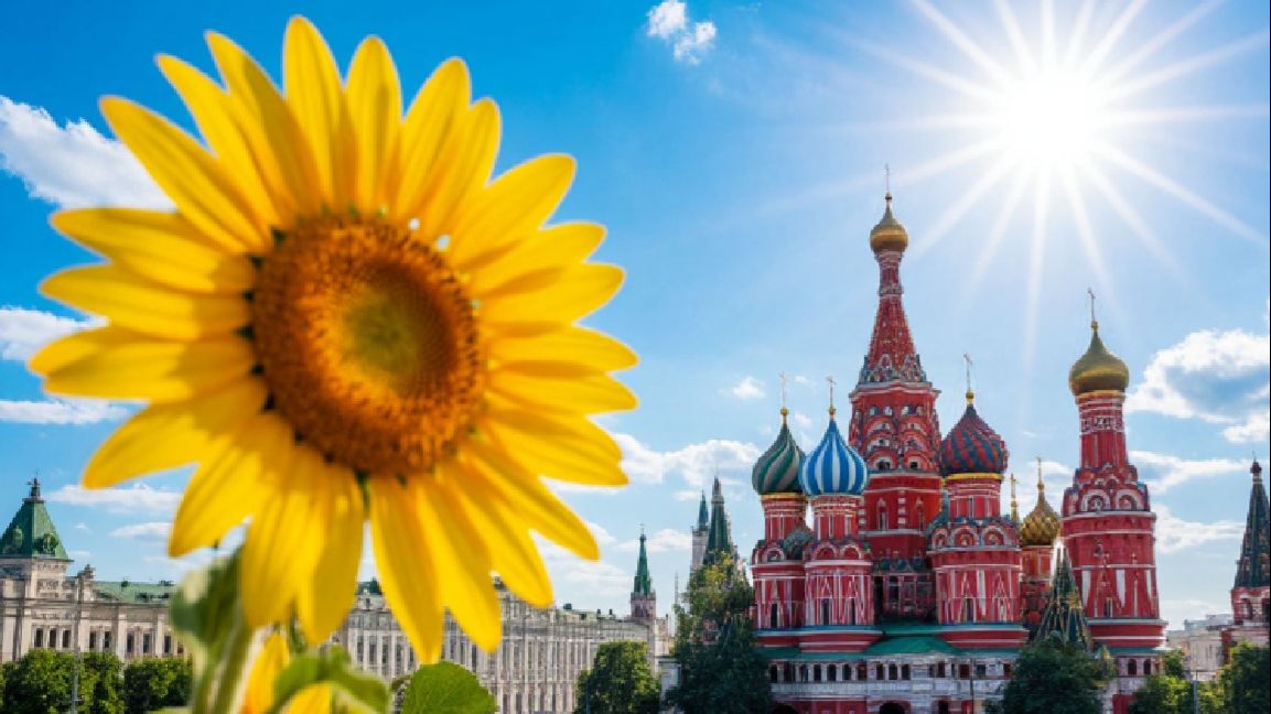 Вопросы и ответы
