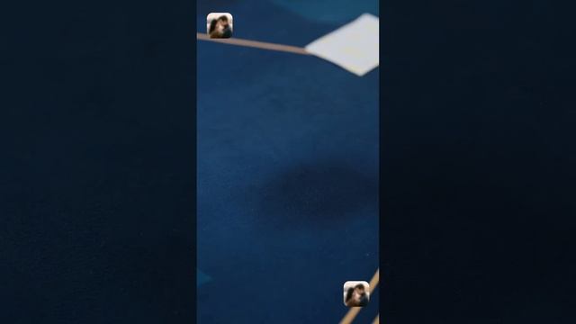 Могучий тигр Драконьей столицы