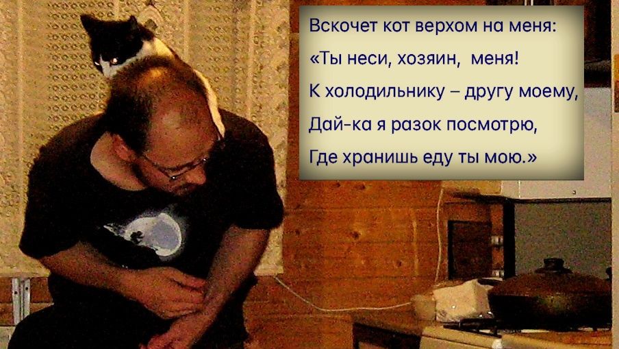Животные