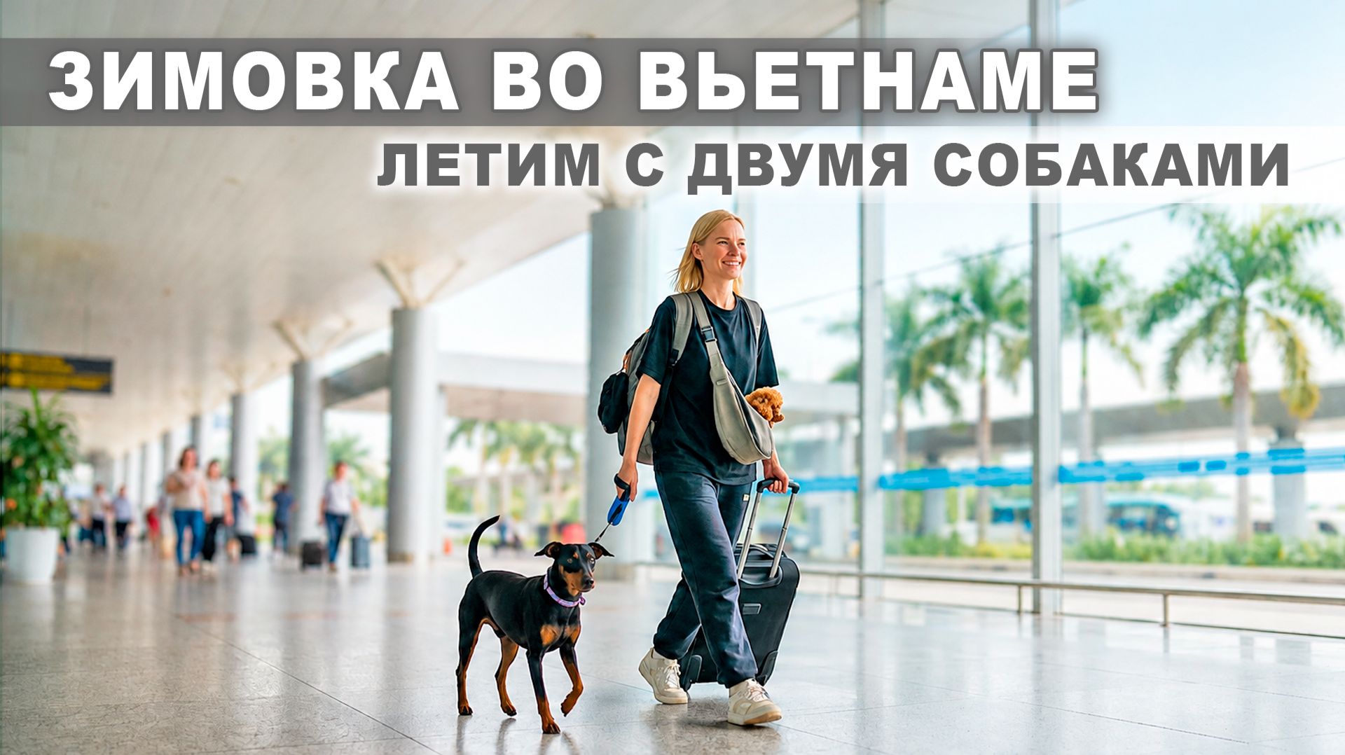 Заметки путника