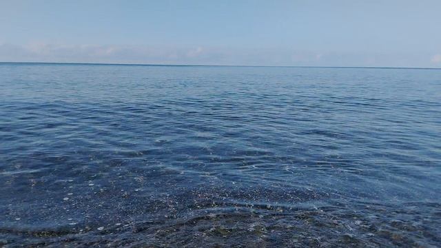 ″Природа″
″Миг″
#Красота″