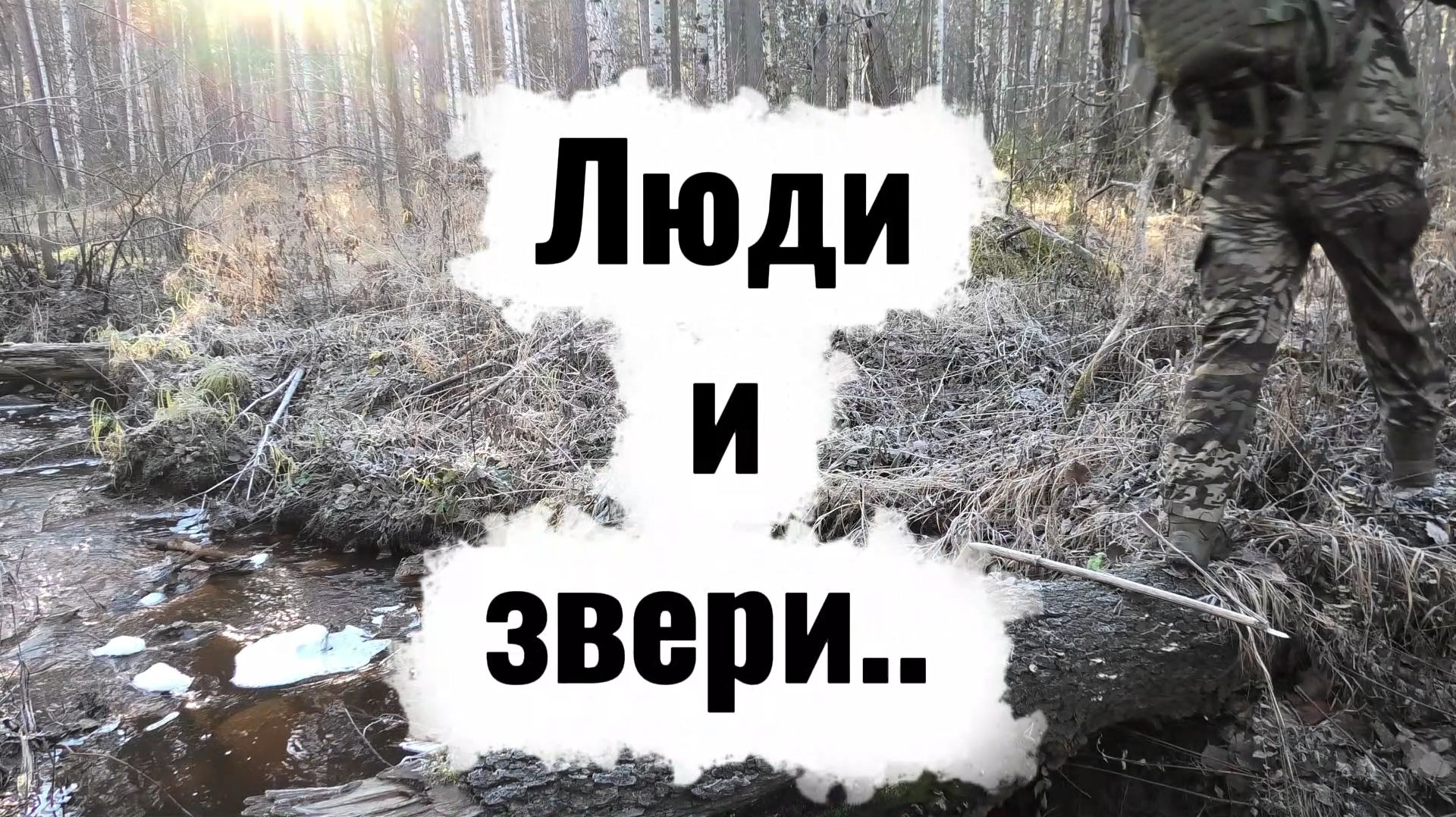 Охотничье законодательство. Охота