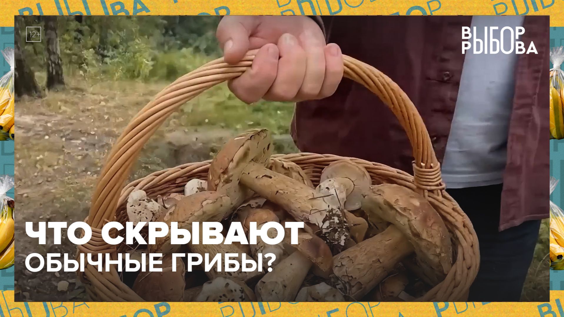 Выбор Рыбова
