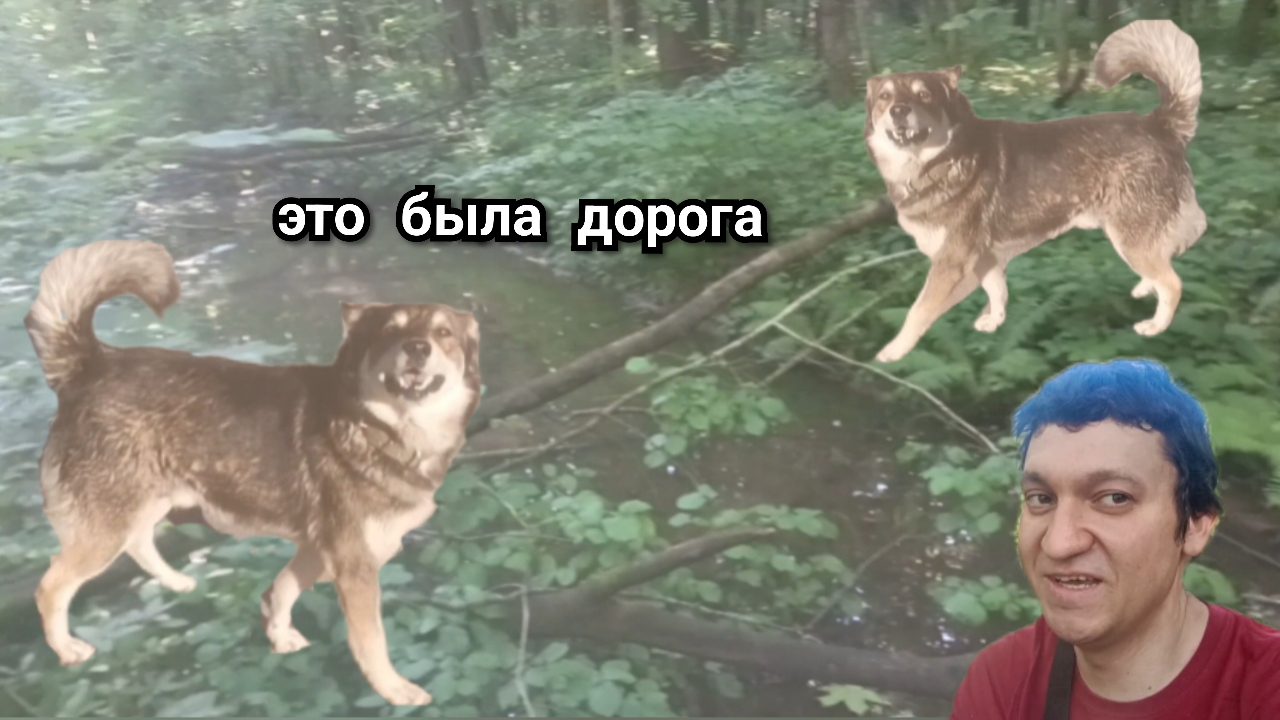 2026