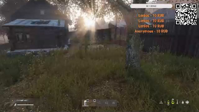 DayZ Выживание