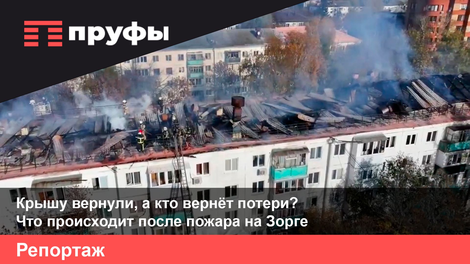 Репортаж