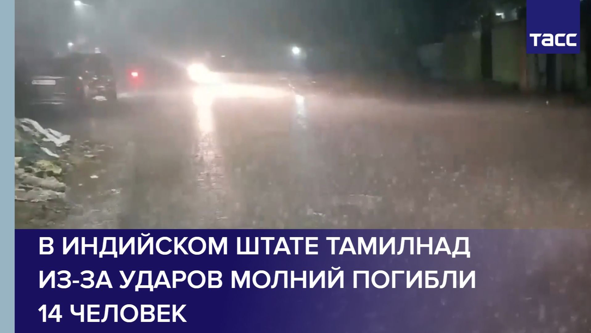Природа и экология ТАСС