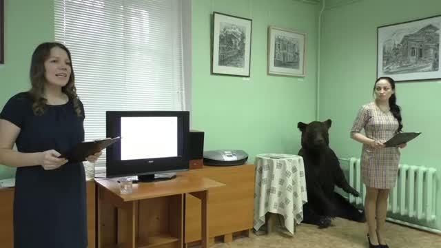 разное