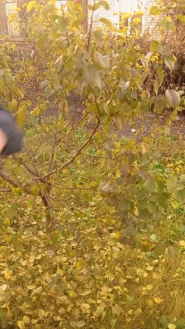 Жизненный юмор. Вставки для видео