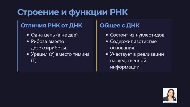 Генетика