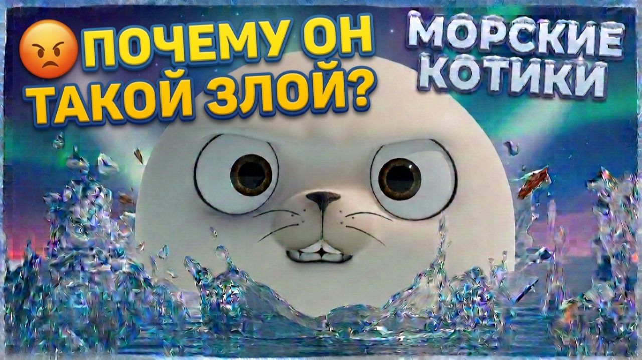 Морские Котики