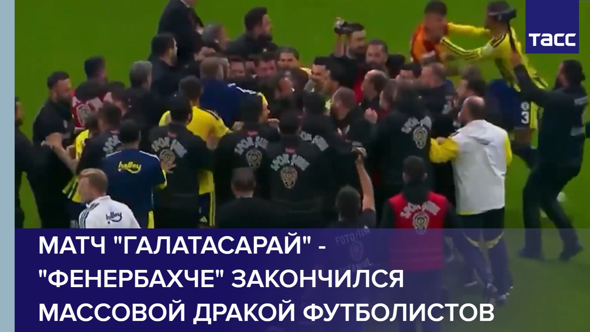 Спорт ТАСС