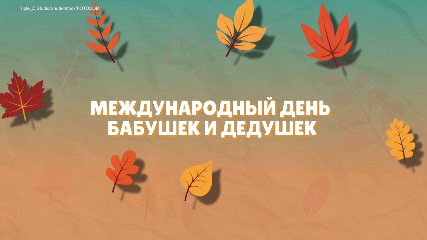 Культура ТАСС
