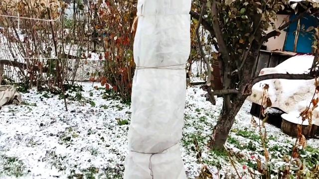 Видео 4