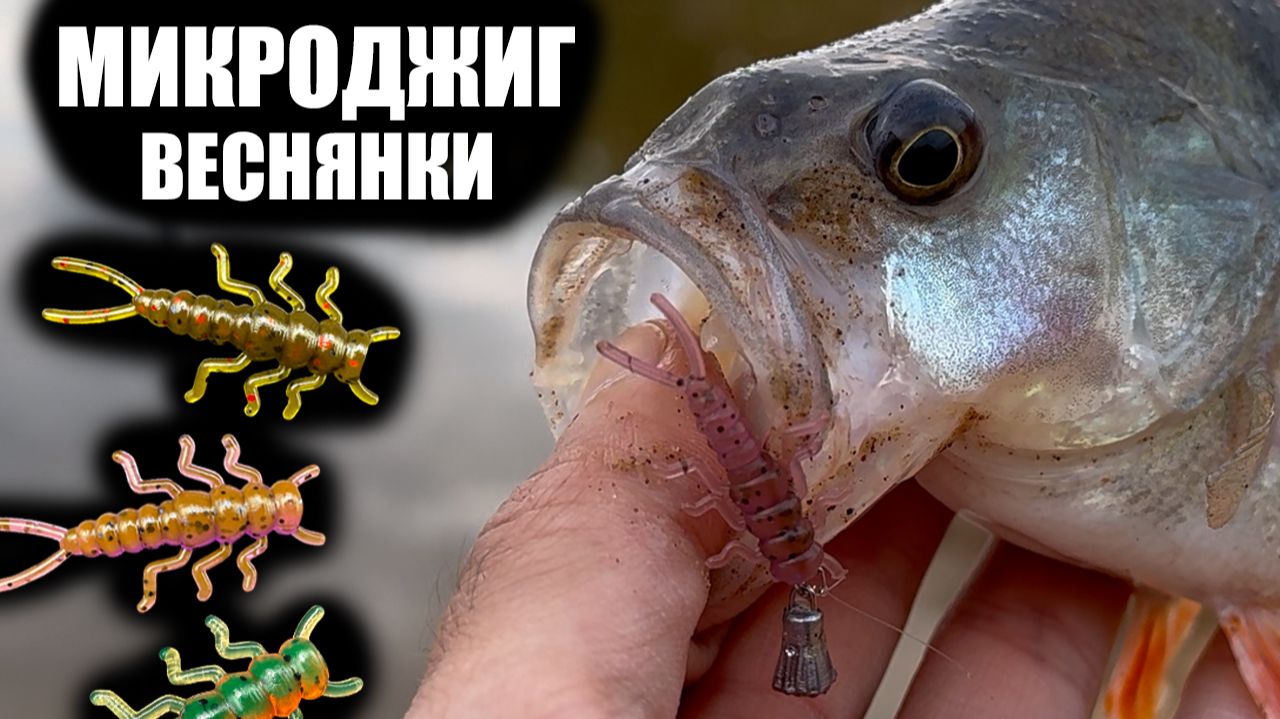 Микроджиг