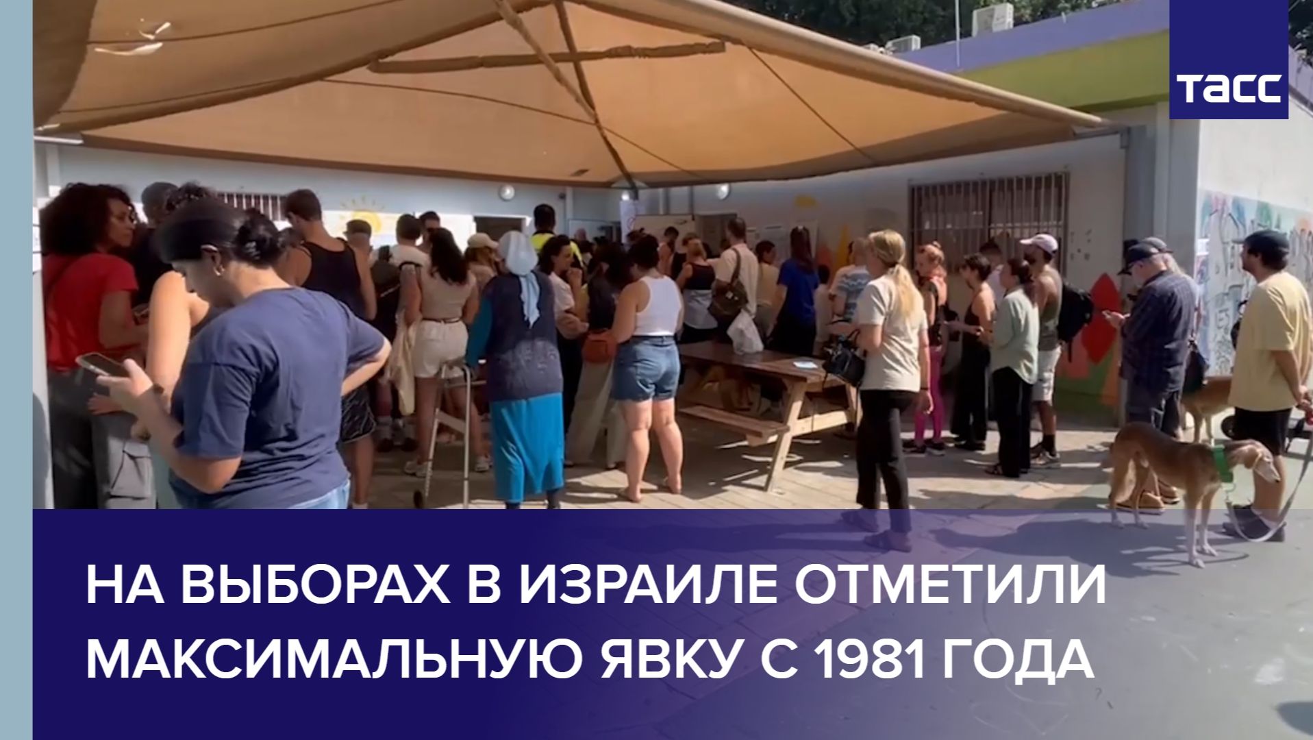 Общество ТАСС