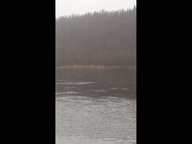 Общий