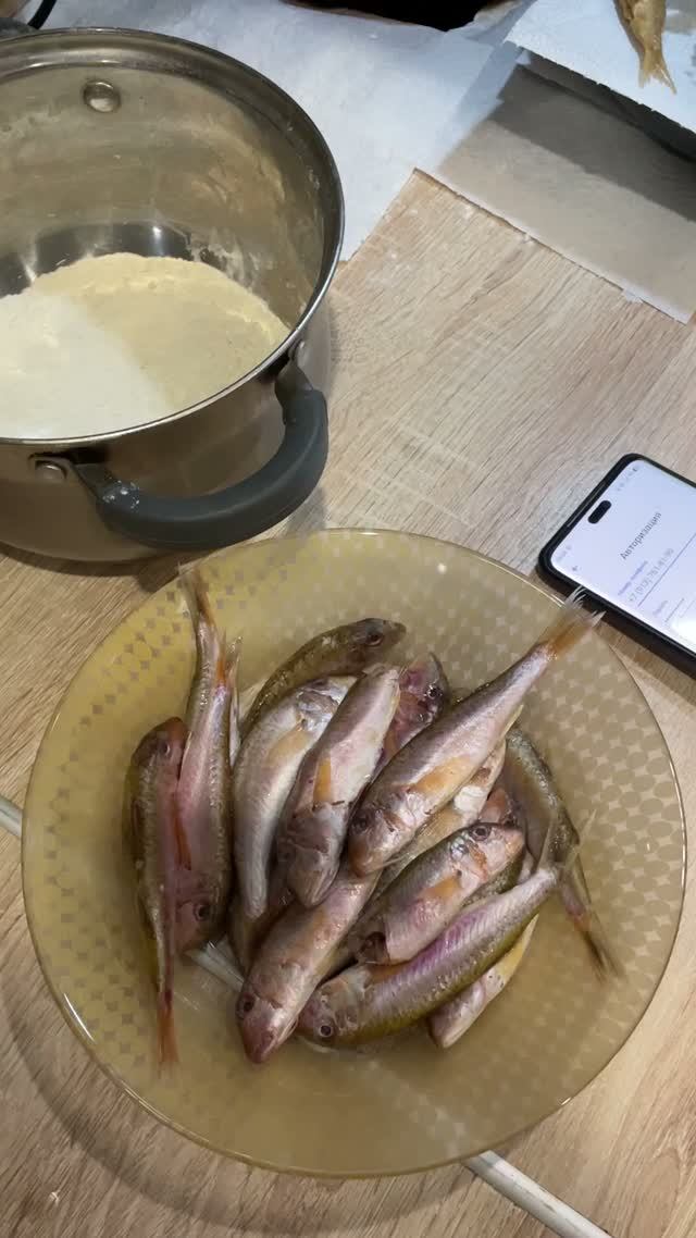 Всё о рыбалке
