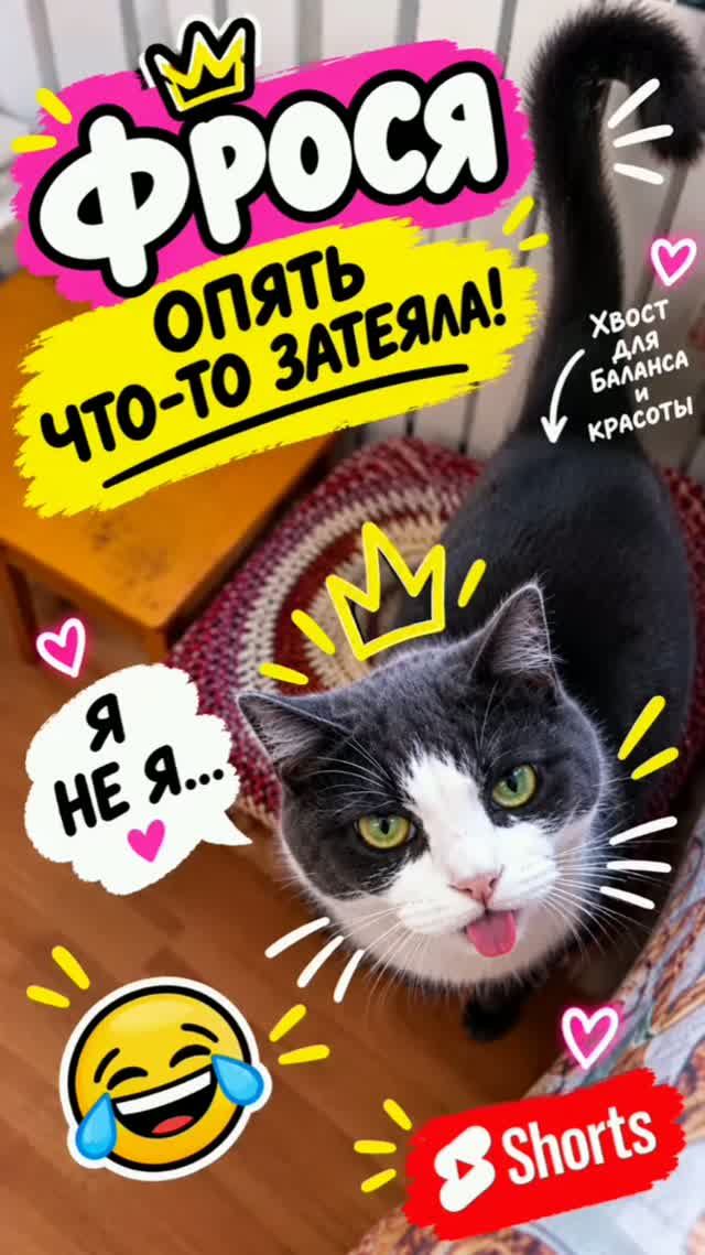 Кошка Фрося